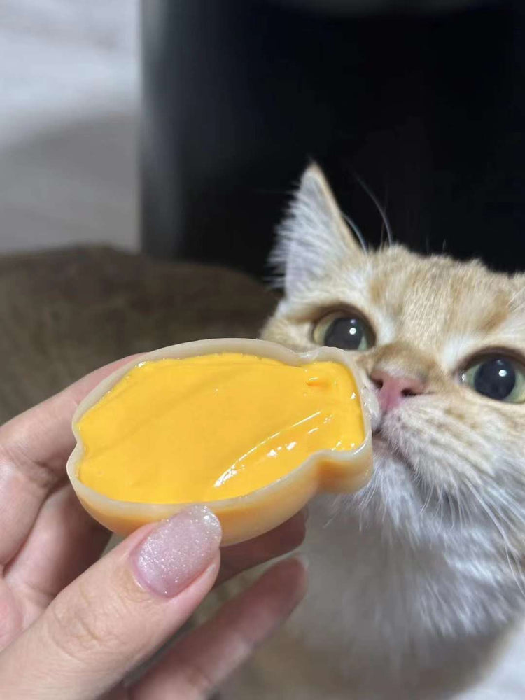 ooodles wax bottle candy